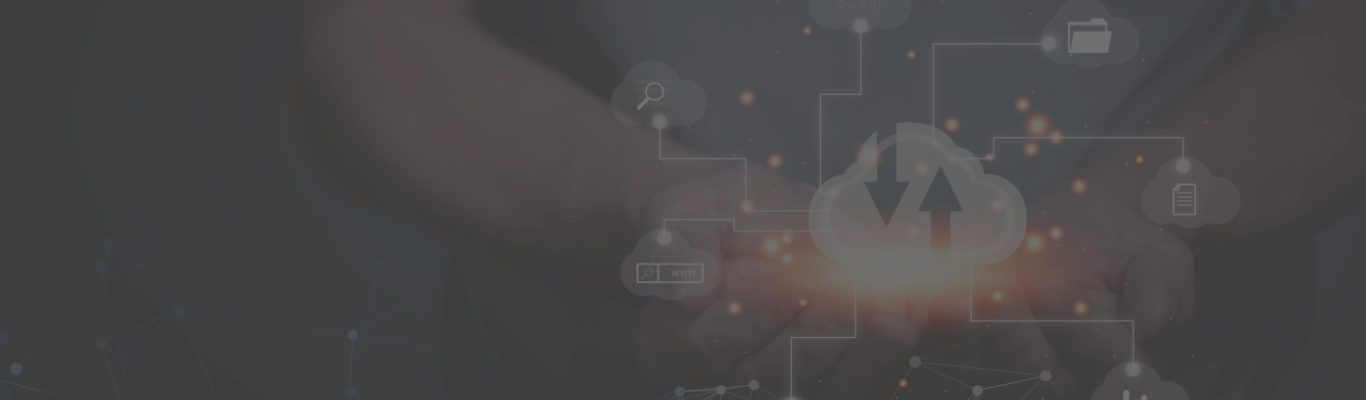 Net And Java Web Application Development Services For Business Success